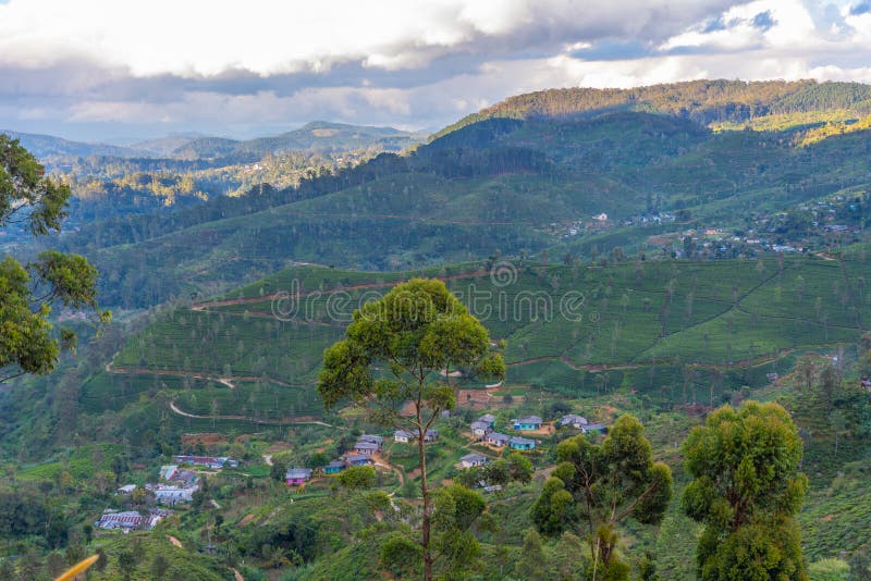 Panorama View of Haputale at Sri Lanka Stock Image - Image of travel ...
