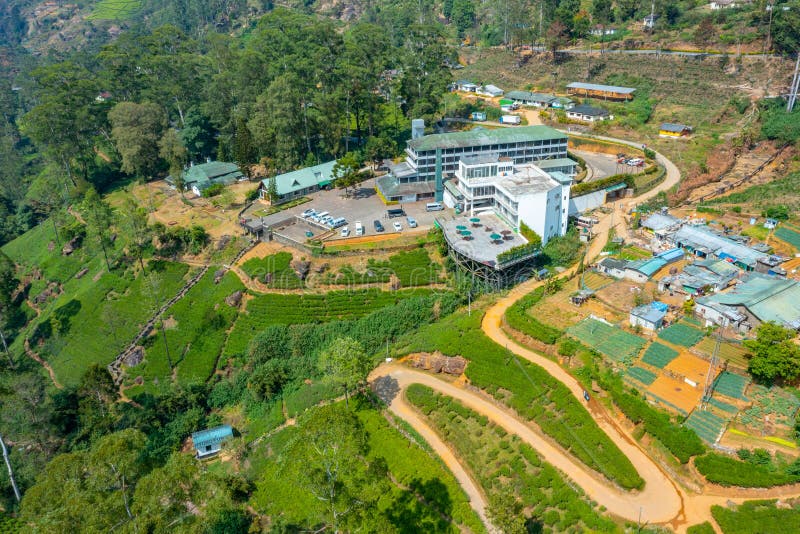 Panorama View Od Mackwoods Tea Estate at Sri Lanka Stock Image - Image ...