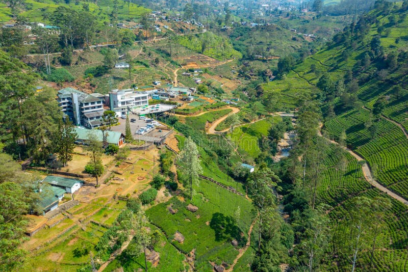 Panorama View Od Mackwoods Tea Estate at Sri Lanka Stock Photo - Image ...
