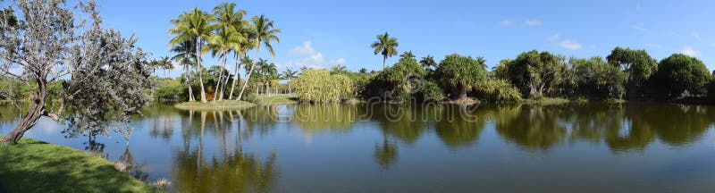 Panorama View of Palm Trees Stock Photo - Image of railing, palms: 53051234