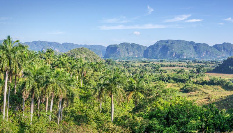 Panorama Des Vinales-Tales Mit Dem Mogotes Stockfoto - Bild von ...