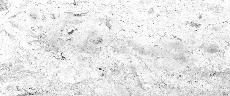 White Marble Tile Floor Texture and Bckground Seamless Stock Image ...