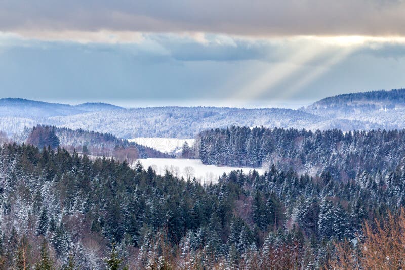 Bavarian Forest stock image. Image of mountains, forest - 114684481