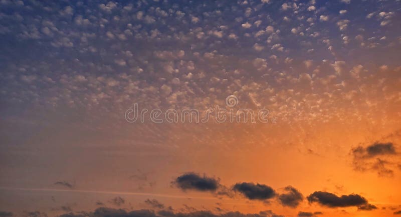 Panorama of the Yellow Sky with Fancy Clouds at Sunset Stock Photo ...