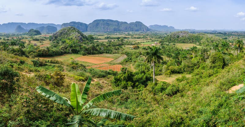 Panoramablick In Vinales-Tal, Kuba Stockbild - Bild von vinales, kuba ...