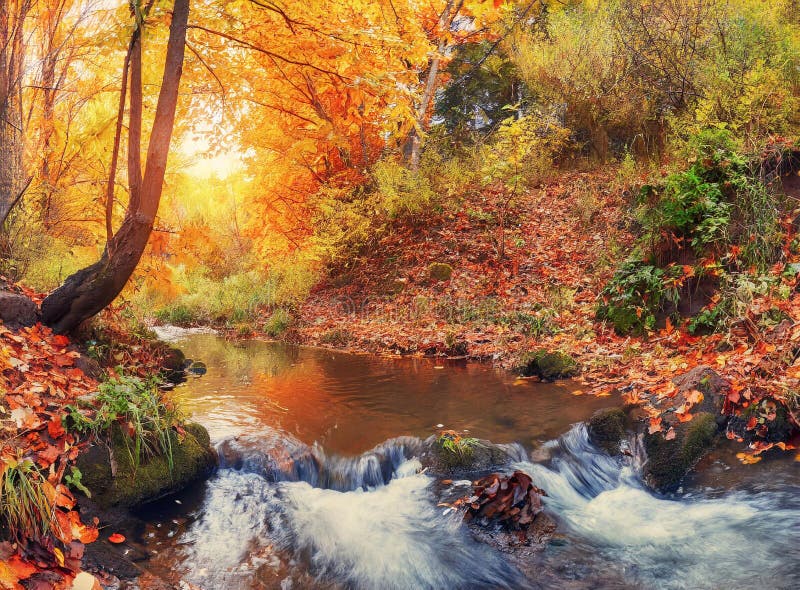 Panoramic Autumn Landscape with Forest Stream Stock Illustration ...