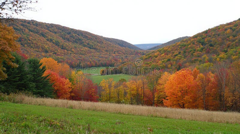 View of the Vibrant Sunset Looking Towards the Horizon at the Dead Sea ...