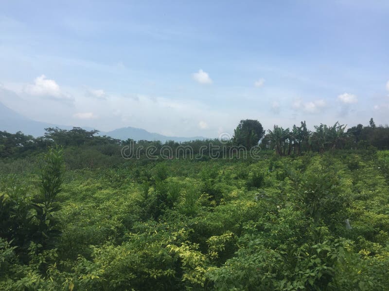 Panoramic batu city stock photo. Image of city, java - 265212600