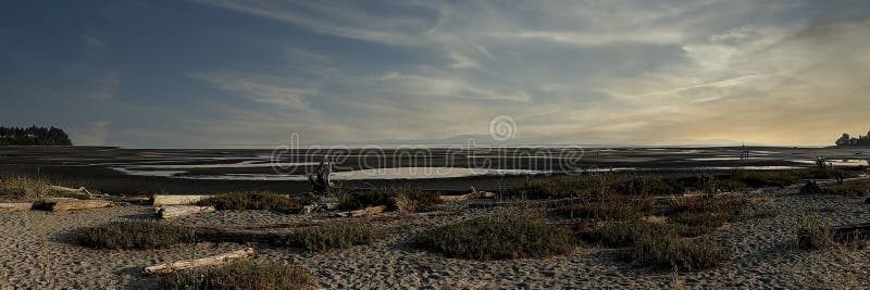 Panoramic Beach View with Sand Dunes Stock Image - Image of ocean ...