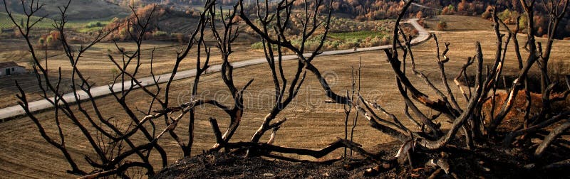 Panoramic burned Landscape stock photo. Image of morning - 21455550