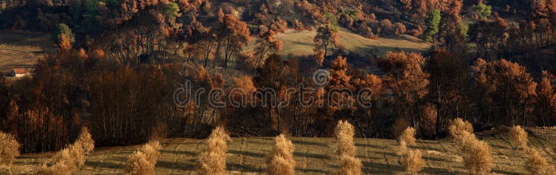 Panoramic burned Landscape stock photo. Image of destroyed - 21455566