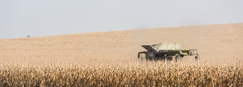 Panoramic Concept of Tractor Harvesting Wheat Stock Photo - Image of ...