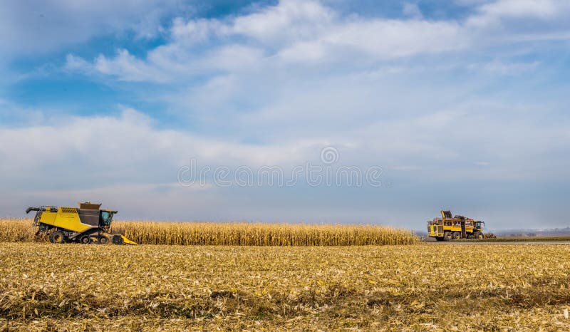 Panoram of Corn Field Where Harvesters are Working, Beautiful Sky ...