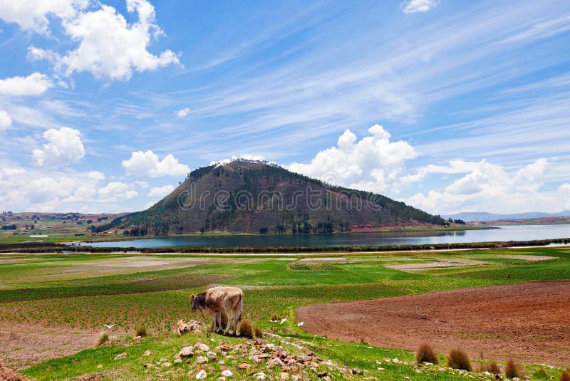 Panoramic Country View, Cusco Region, Peru Stock Image - Image of ...