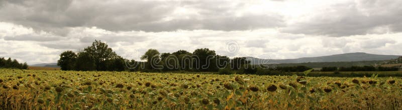 Panoramic Countryside Scene Stock Image - Image of scenic, angle: 6381645