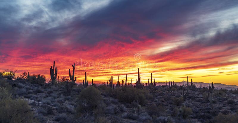 Panoramic Desert Dusk Landscape View Scottsdale Arizona Stock Photo ...