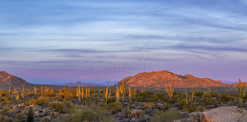 Panoramic Desert Sunset Landscape View Scottsdale AZ Stock Photo ...
