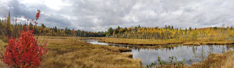 Panoramic of Fall colors stock photo. Image of edge - 128542118