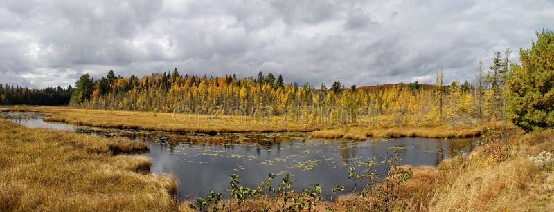 Panoramic of Fall colors stock image. Image of multi - 128542121