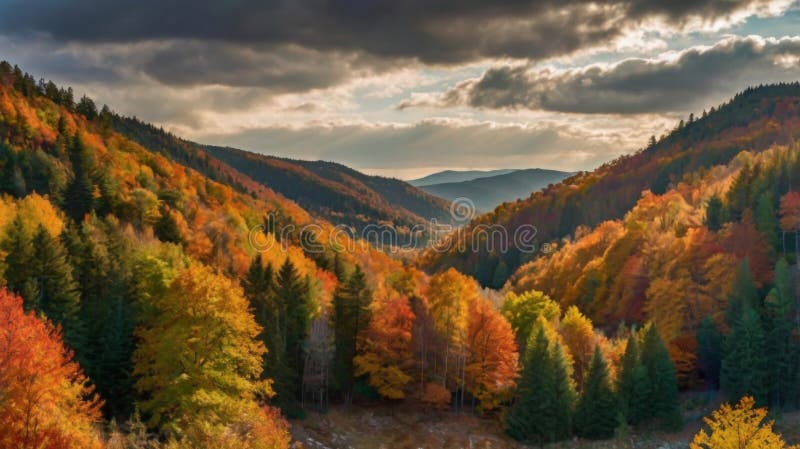 Panoramic Fall Nature Scene with Forest Background Stock Illustration ...