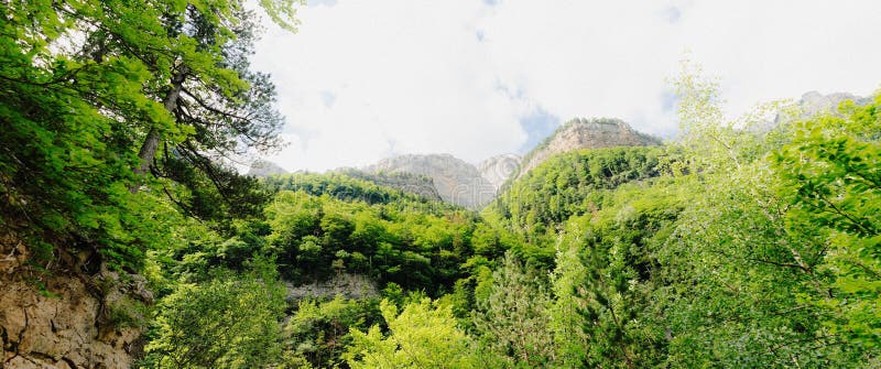 Panoramic Forest and Mountain View Stock Image - Image of forest ...