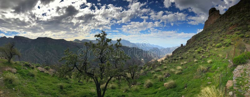 Panoramic Header View of Lush Greenery and Mountain Landscape Under ...