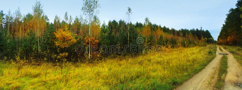 Panoramic Image of Autumn Forest. Stock Photo - Image of landscape ...