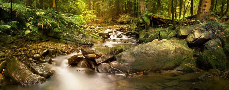 Panoramic Image of the Forest Brook in the Mountains Stock Image ...