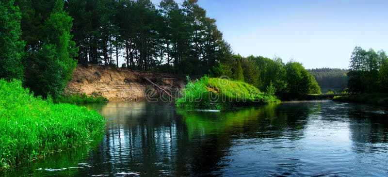 Panoramic Image of the Forest River Stock Photo - Image of grass ...
