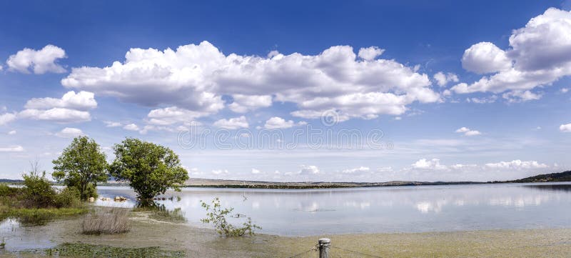 Panoramic Lake Pond with Trees and Reflection Stock Photo - Image of ...