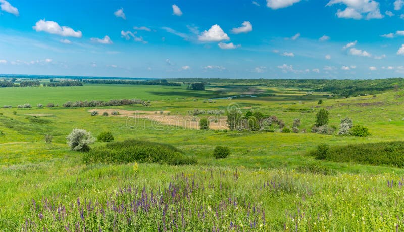 Panoramic Landscape with Fields and Water-meadows Near Oril River in ...