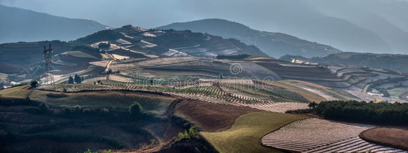 The Beautiful Mountainous Agriculture Terraced Fields Landscape Stock ...