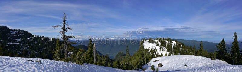 Panoramic Landscape of Snow Mountain and Green Trees Stock Image ...
