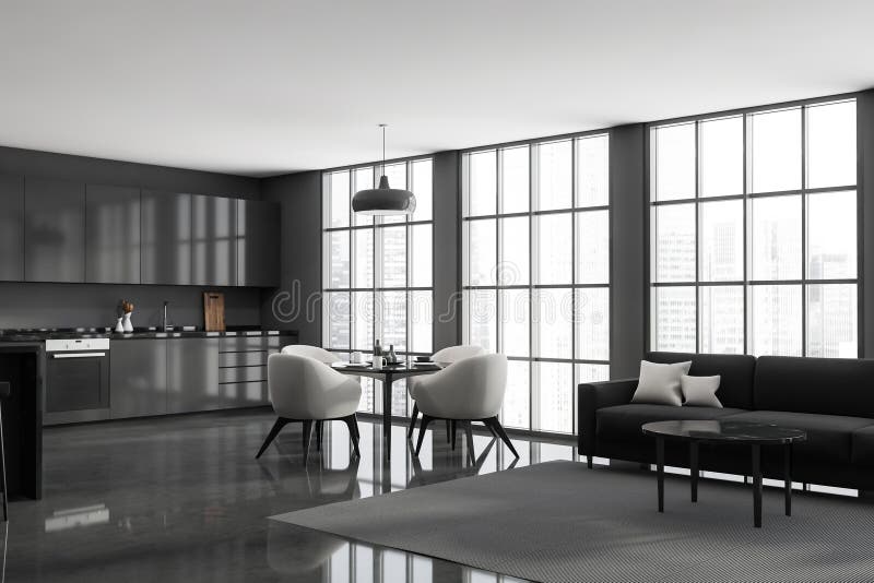 Panoramic Living Space of Grey Studio Kitchen. Corner View Stock ...