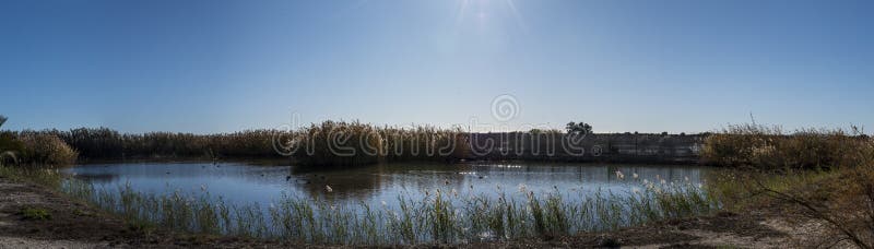 Panoramic of the Marsh of the Natural Park of La Fonda Stock Image ...