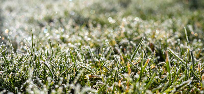Panoramic Meadow with Frost in Spring Stock Image - Image of frost ...