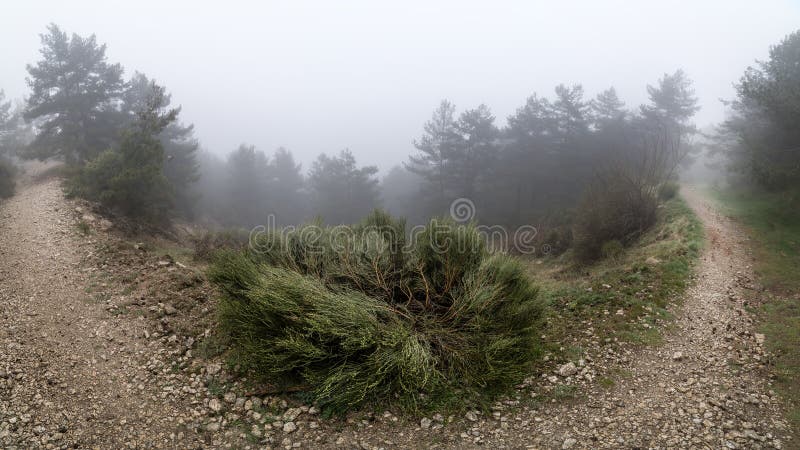 Panoramic of Mountain Landscape with Path that is Lost in the Thick Fog ...