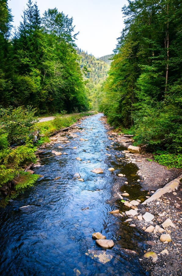 Panoramic Mountain River View. Summer in the Mountains Stock Image ...