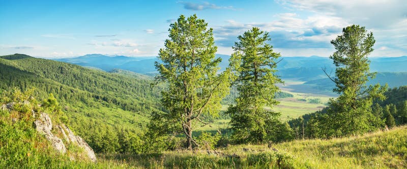 Panoramic Mountain View. Summer, Forests and Meadows Stock Image ...
