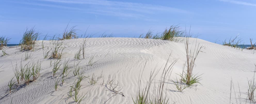 Panoramic Ocean Dune with Sea Grass Stock Photo - Image of united ...