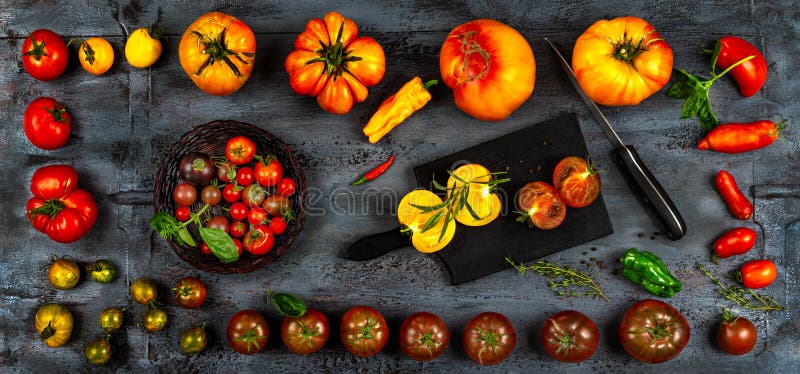 Panoramic of Old Tomatoes Lined Up All Around the Image with a Cutting ...