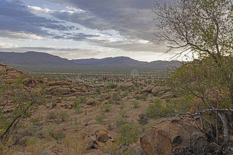 Panoramic Picture of Damaraland in Namibia during Sunset Stock Image ...