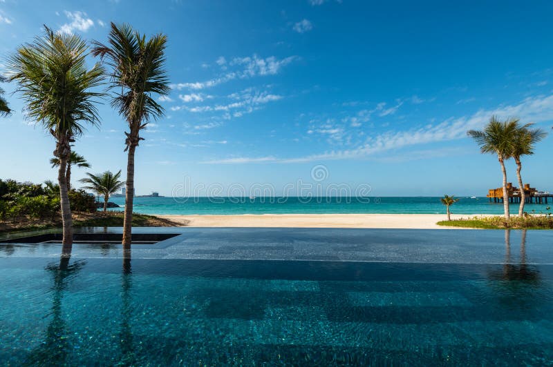 Panoramic Pool with Palm Trees on a Sandy Beach in Dubai Stock Image ...