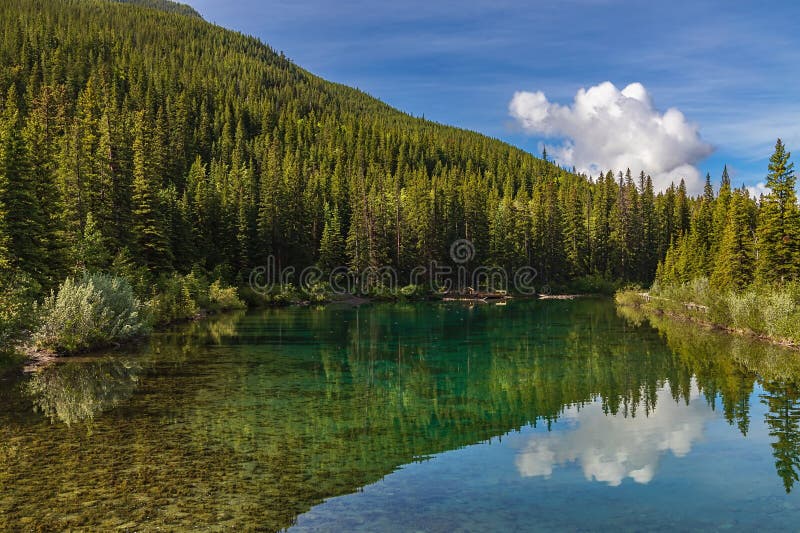 Panoramic Reflection of Trees in the Lake in Alberta Stock Image ...