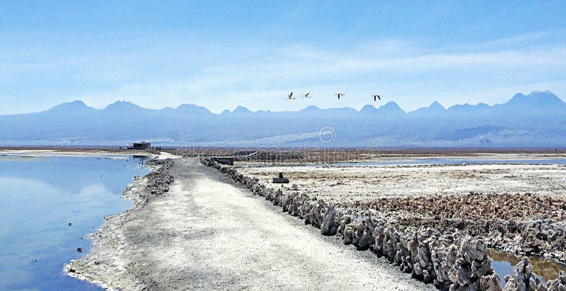 Panoramic of the Salar De Atacama, Chile Stock Photo - Image of ...