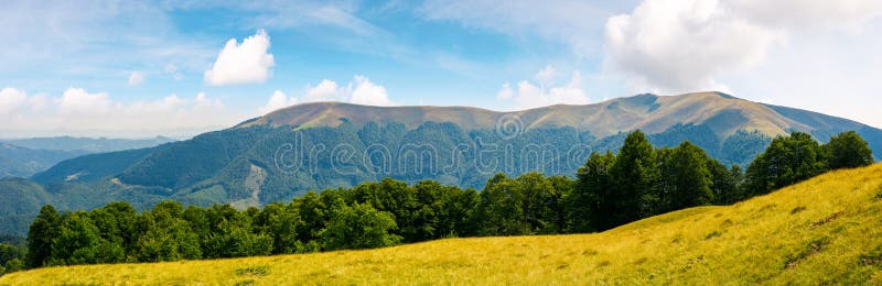 Panoramic Scene of a Summer Landscape Stock Image - Image of alpine ...