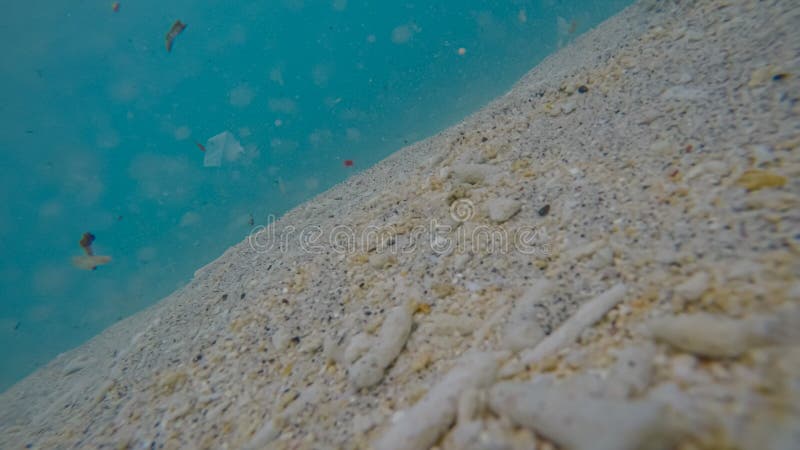 Panoramic Scene Under Water and Blue Background Stock Photo - Image of ...