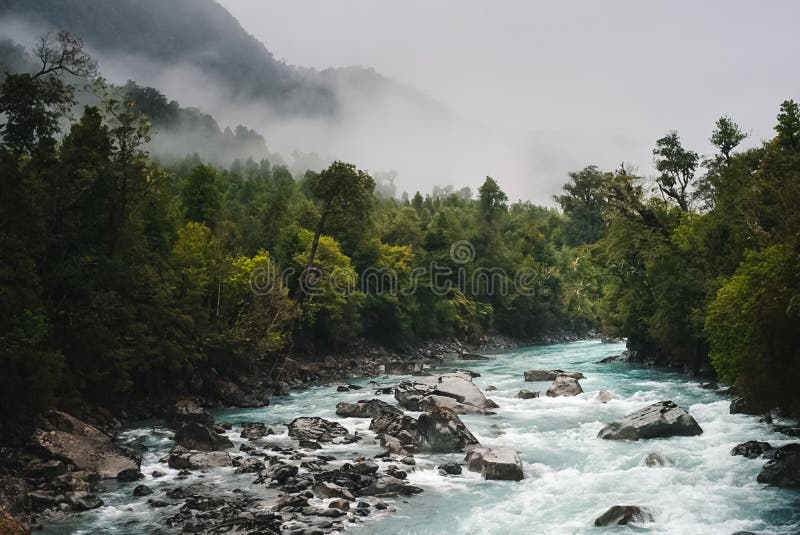 Panoramic Shot of Flowing Water on a River on a Foggy Forest Stock ...