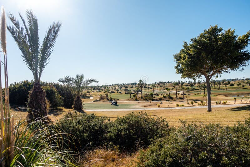 Panoramic Shot of a Golf Course with Trees and Shrubs in the Foreground ...
