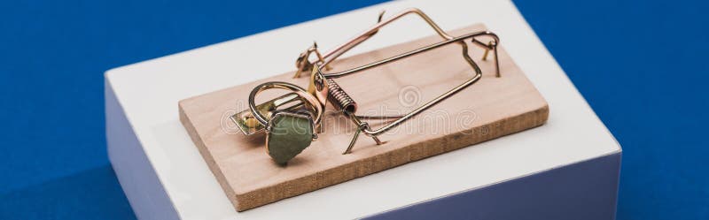 Panoramic Shot of Jewellery Ring in Mouse Trap on White Block Stock ...